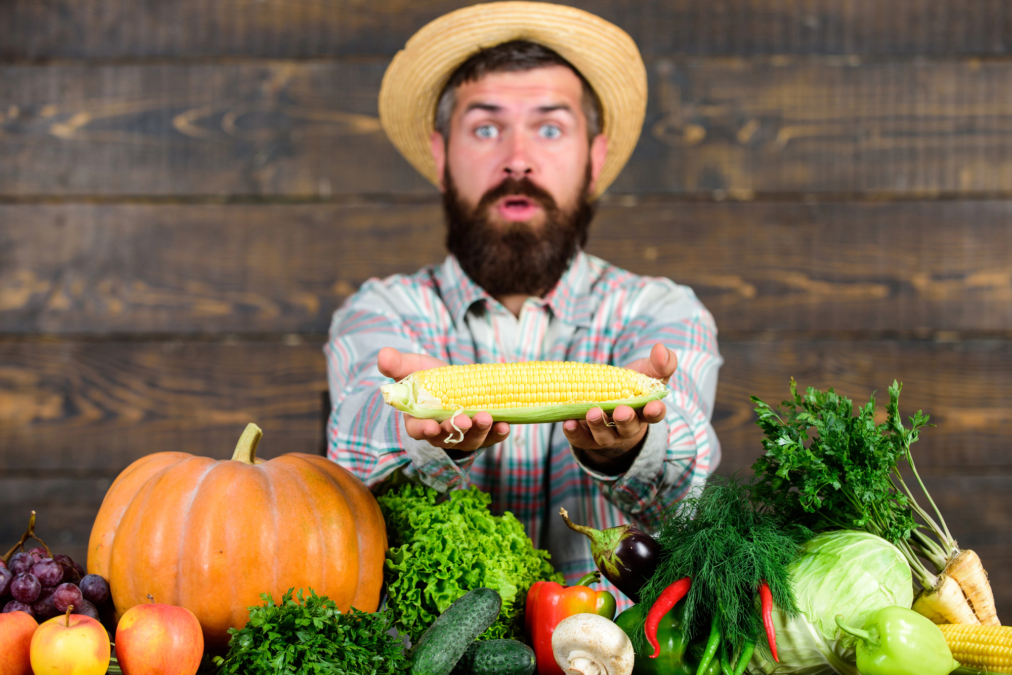 11 Comfort Foods Only Found in Southern Rural Kitchens - USA Money Matters